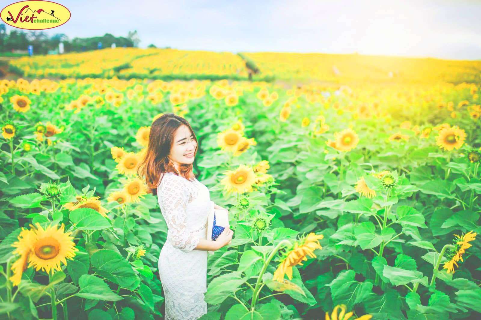 Đà Lạt - Duyên hay Tình đã giữ chân tôi...